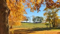 Visiting - Village of Lockbourne