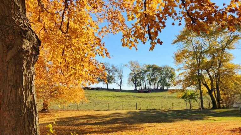 Visiting - Village of Lockbourne